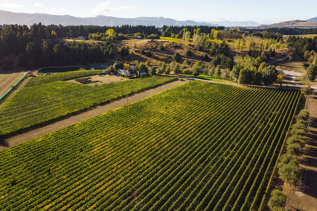 Contact – Paddons Paddock NZ